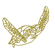 인생 성공 대본을 작성하라 – MIRACLE MAKER PLANNER